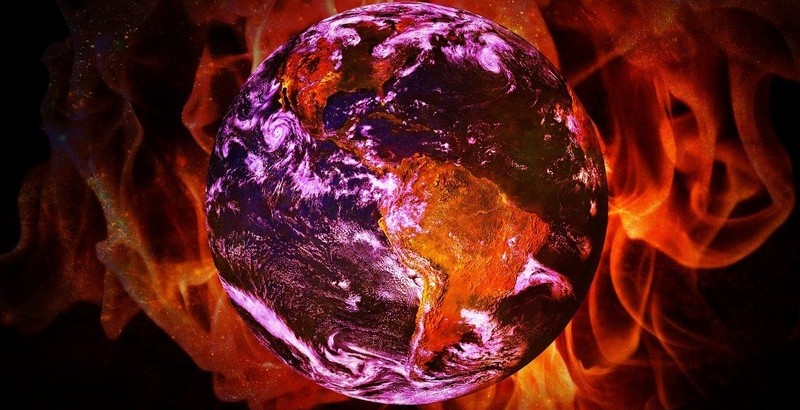 DMB Distribution acquiert Aliments Momentum- Détaillant Alimentaire